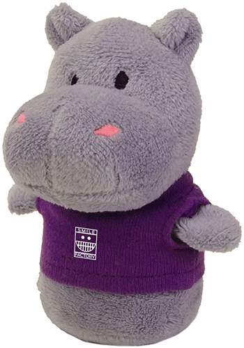 Custom Shorties Plush |IBCT838 - DiscountMugs