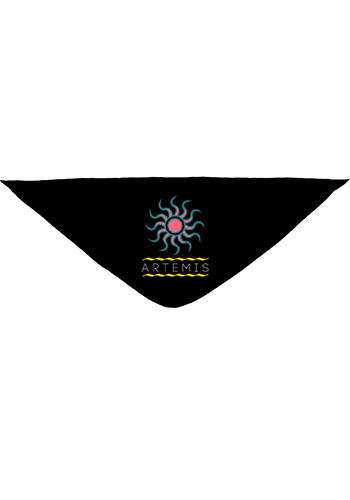 Wholesale Triangular Bandanas |TEFBAN02 - DiscountMugs