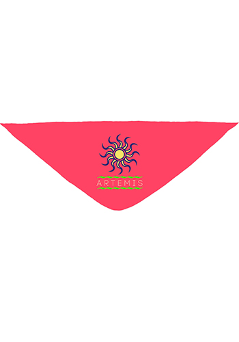 Wholesale Triangular Bandanas |TEFBAN02 - DiscountMugs