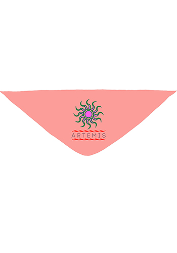 Wholesale Triangular Bandanas |TEFBAN02 - DiscountMugs