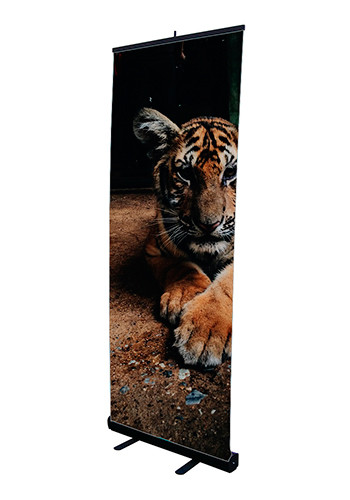 Customized 31.5 Inch Economy Retractor Kits | SHD261134 - DiscountMugs