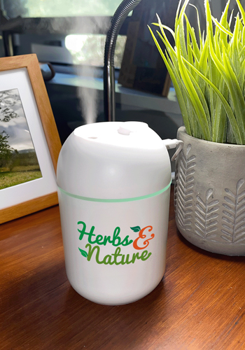 Personalized Humidifier with Essential Oil Diffuser | AK89500 ...